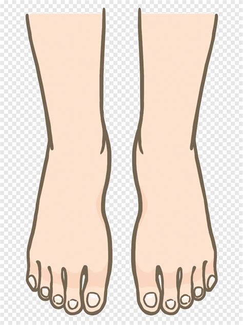 손가락 발 인간의 다리 엄지 손가락 손톱 손 발 Png Pngegg