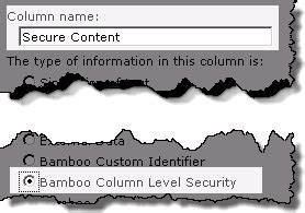 Use Column Level Security On Existing Data Bamboo Solutions