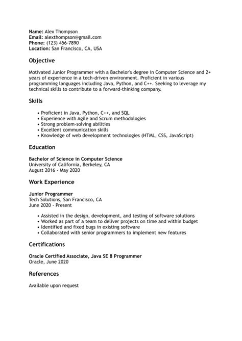 Programmer Resume Examples And Templates 2025 Resume Buildr