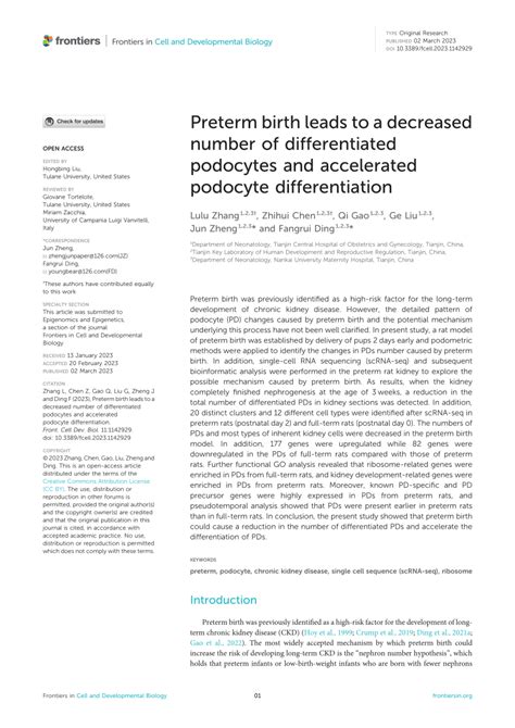 Pdf Preterm Birth Leads To A Decreased Number Of Differentiated Podocytes And Accelerated