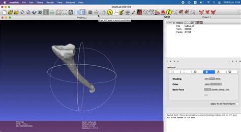 MeshLabの使い方医療のためのPythonプログラミング
