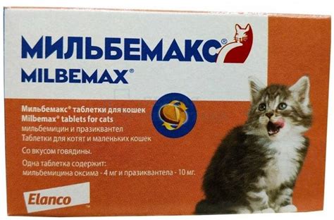 Обзор лучших глистогонных таблеток для кошки: какое средство выбрать