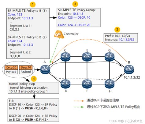 广域网技术——sr Mpls技术基础理论讲解 Csdn博客