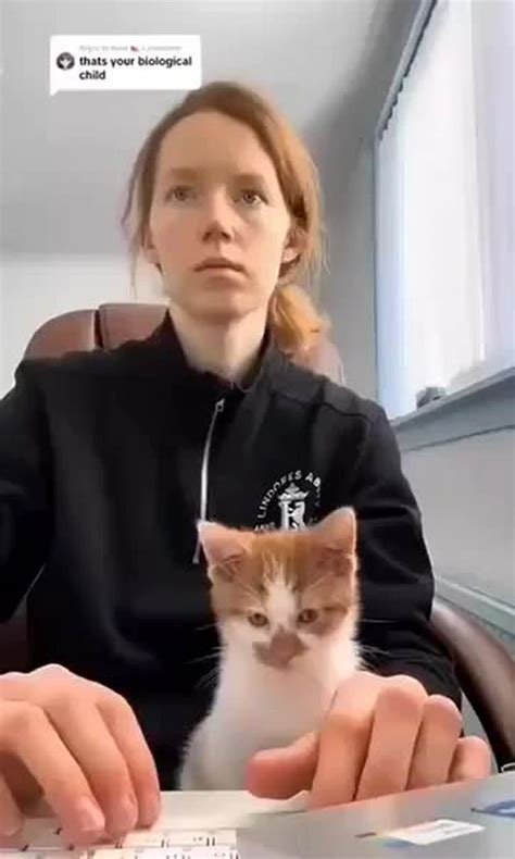 Constant Companion Album On Imgur