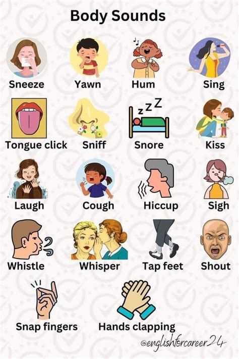 Daily Routine Sentences In English Pdf