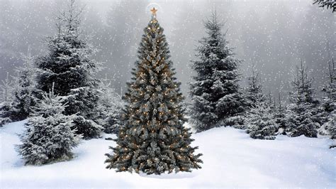 Christmas Snow Wallpapers Top Free Christmas Snow Backgrounds