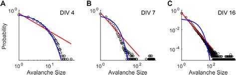 figure 3 from development of neural population activity toward self