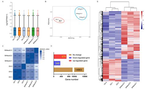 Rna Seq Analysis And Differentially Expressed Gene Clusters A The