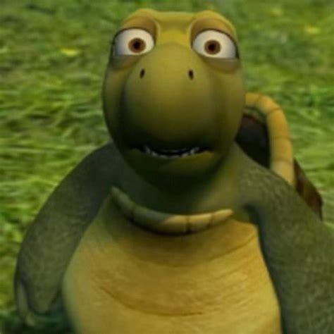 Shocked Turtle Reaction Image Shocked Turtle Huh Know Your Meme