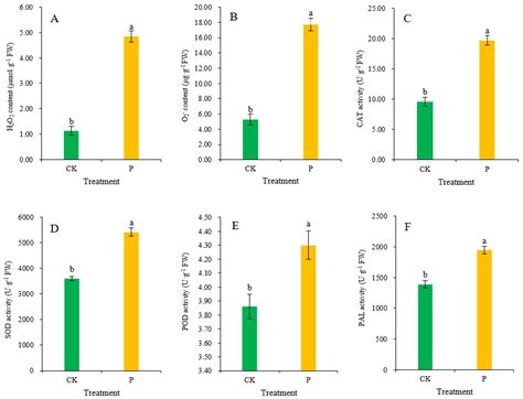 Integrative Transcriptome And Metabolome Analyses Of The Interaction Of