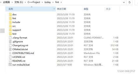 fmt文本格式库的源码下载编译Win VS 阿里云开发者社区