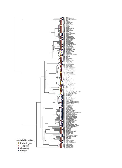 Brms Phylogenetic Model With Repeated Measurements By Species Brms The Stan Forums