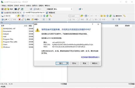 winscp可视化工具在公网环境下如何进行文件编辑与ssh传输 winscp ssh csdn博客