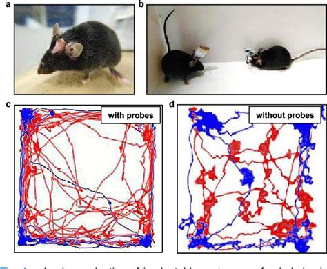 Figure 4 From Wirelessly Operated Implantable Optoelectronic Probes