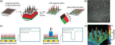 Fabrication And Working Principle Of The Soft Magnetic Pressure Sensor