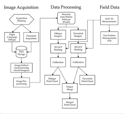 Flowchart Showing The Image Acquisition And Processing Workflow