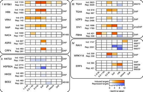 cis motif enrichment in distinct genic regions is associated with