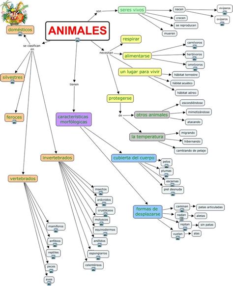 Los Animales Animales Mapas Mentales Omnivoros
