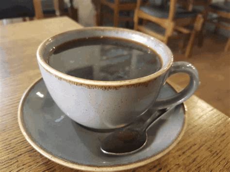 Hot Coffee Cup Of Coffee  Hot Coffee Cup Of Coffee Steaming