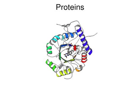 Ppt The Structure And Function Of Macromolecules Powerpoint Presentation Id 1001352