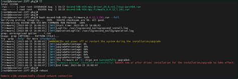 昇腾 Atlas800 鲲鹏920 昇腾Snt9处理器 环境配置指导 云社区 华为云