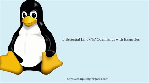 Essential Linux Ls Commands With Examples ComputingForGeeks