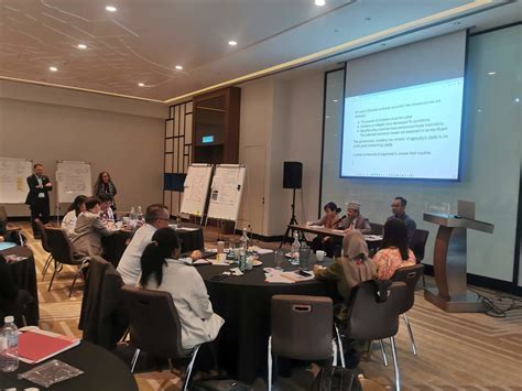 The Challenges Of Implementing A Gender Inclusive Language Framework In An International