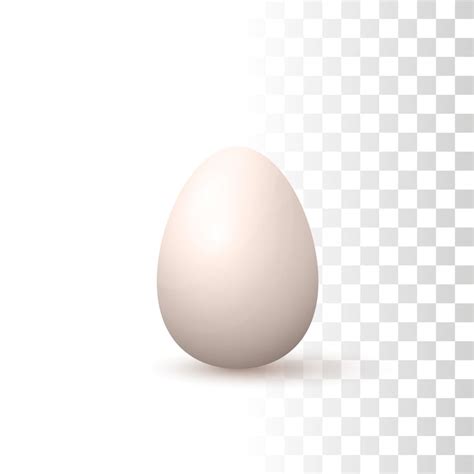 Png Egg Vectors Download Free High Quality Vectors From Freepik Freepik