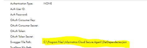 iics cicd code promotion automation using cai