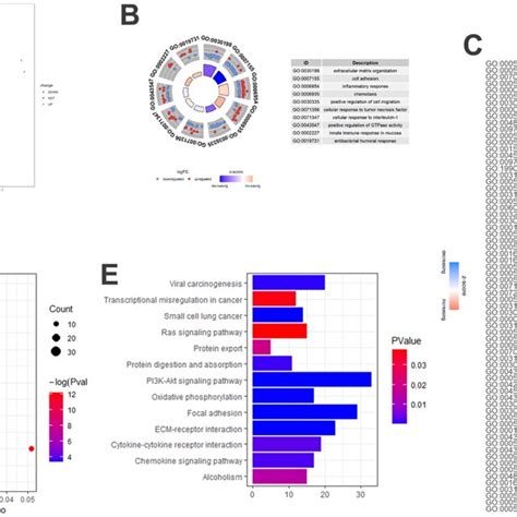 Common Age Associated Degs In Copd A A Venn Diagram Of Degs Of
