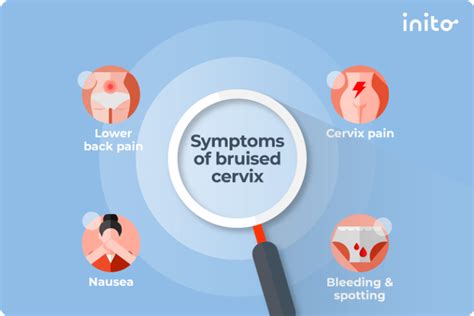 Bruised Cervix Causes Symptoms And Treatment