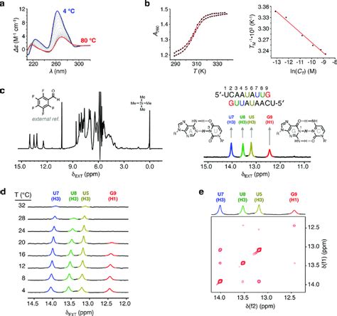 Characterization of the RNA duplex with a 5′-U overhang. (a) CD ...
