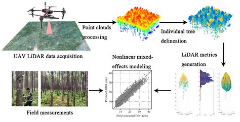 Individual Tree Diameter Estimation In Small Scale Forest Inventory Using Uav Laser Scanning