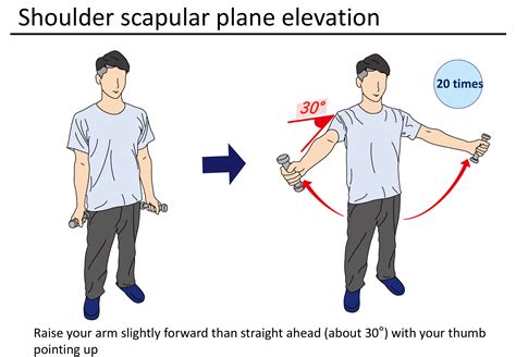 Hip External Rotator Group Training Hip Joint 45° Physio Visuals Illustrated Exercise