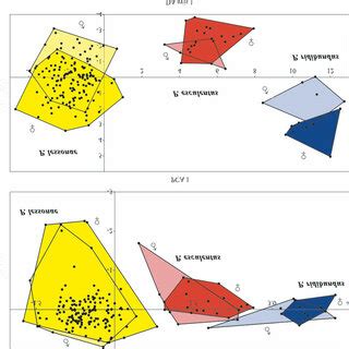 Principal Components Above And Discriminant Below Analyses Biplot Download Scientific