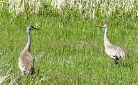 Plan Your Trip To Harney County In Se Oregon The Narrows Rv Park