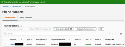 using sms to accept alphanumeric entry for voice calls with amazon