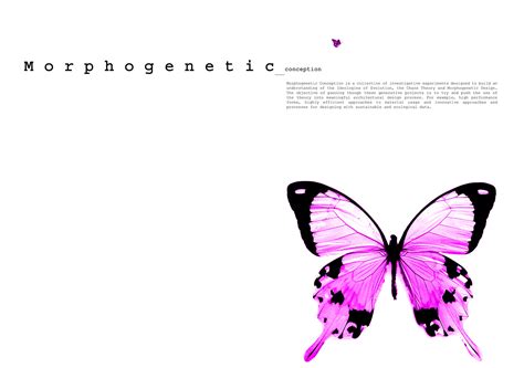Morphogenetic Conception On Behance