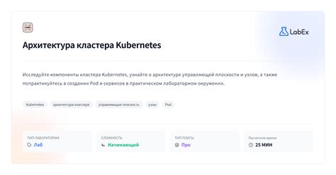 Архитектура кластера Kubernetes Labex