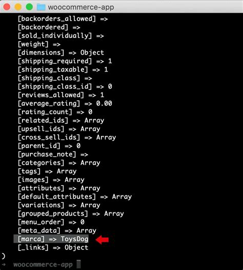 Agregar Datos A Los Endpoints De La API De WooCommerce DecodeCMS