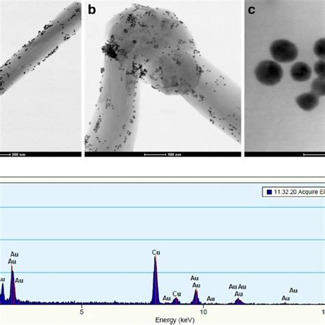 Hrtem Micrographs Of Aunps Mwcnt A C At Various Magnifications