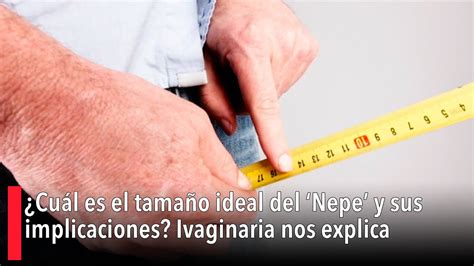 ¿cuál Es El Tamaño Ideal Del ‘nepe Y Sus Implicaciones Ivaginaria Nos