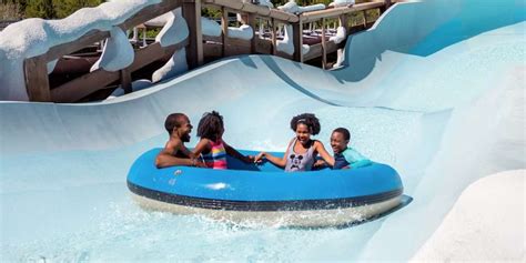 Downhill Double Dipper Disney