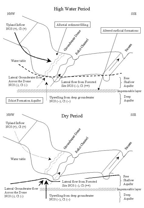 Schemes Of The Hydrological Functioning Of The Riparian Zone In High