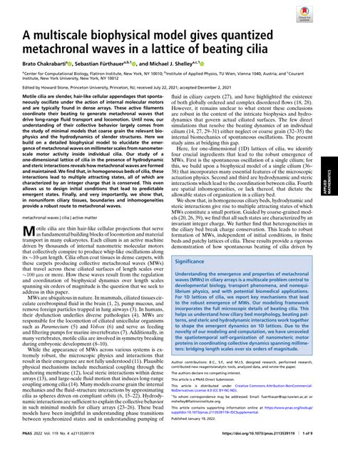 pdf a multiscale biophysical model gives quantized metachronal waves