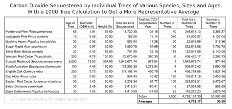 What Difference Can One Tree Make