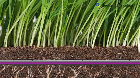 Role Of Precision Irrigation Methods In Modern Farming Geopard Agriculture