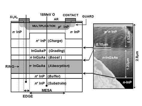 A Cross Section Of The Apd Structure Under Test Indicating The Mesa