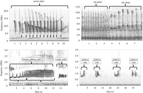 Representative Spectrograms Of The Call Types Used In The Present Download Scientific Diagram