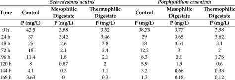 Phosphorus Uptake During Growth For The Two Investigated Strains